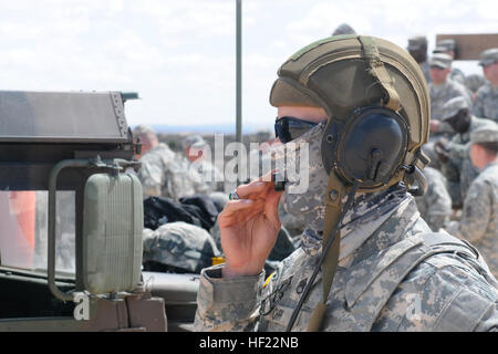 S.C. National Guard Soldiers of the 2-263rd Air Defense Artillery ...
