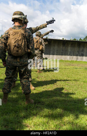 Combat Logistics Company 36 Marines test their land navigation skills ...