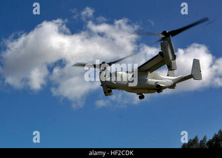 Col. Matthew G. Trollinger, commanding officer of the 11th Marine ...