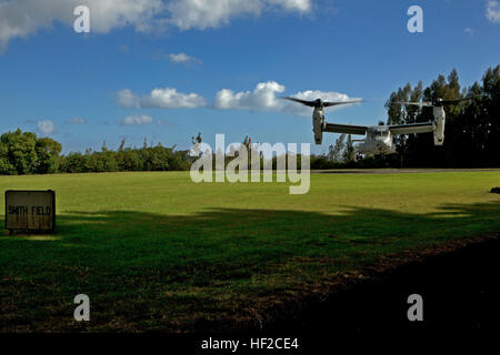 Col. Matthew G. Trollinger, commanding officer of the 11th Marine ...