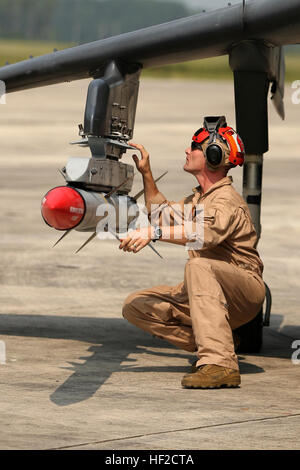 Radar-guided advanced medium-range air to air missile AMRAAM AIM-120 ...