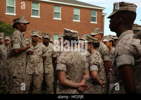 Sgt. Maj. Robin C. Fortner, right, sergeant major, Ground Combat ...