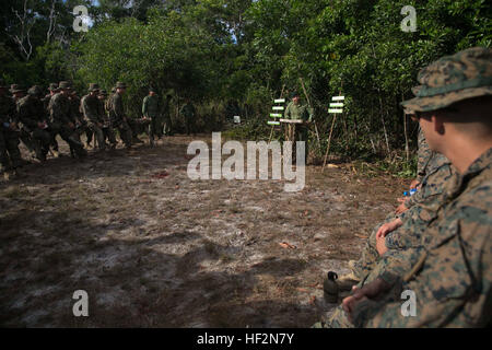 U.S. Marines and Royal Brunei Land Forces conduct military operations ...