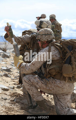 Grenadiers fire the M16A4 rifle/M203 grenade launcher Stock Photo - Alamy