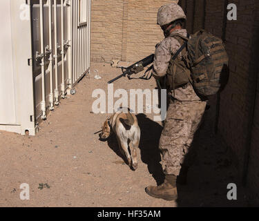 Lance Cpl. Daniel Schueller, dog handler, of Alden, N.Y., and Lance Cpl ...