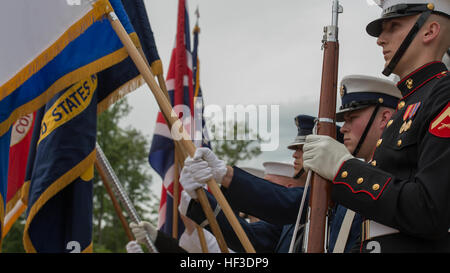 Members of the Joint Armed Forces Color Guard perform pass in review ...
