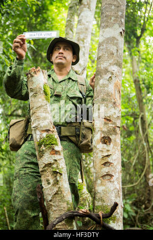 A Belize Defence Force soldier shows multinational forces how to trap ...