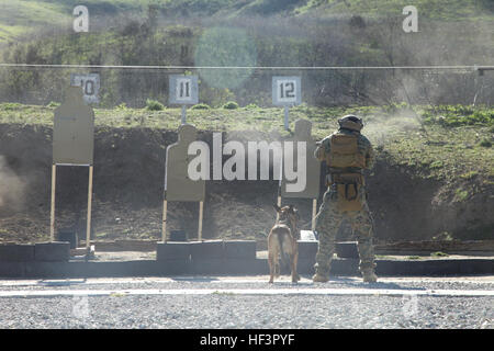 A U.S. Marine Multipurpose Canine with Marine Corps Forces Special ...