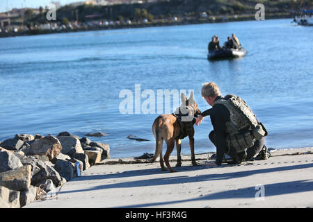 A Multi-Purpose Canine (MPC) handler with U.S. Marine Corps Forces ...