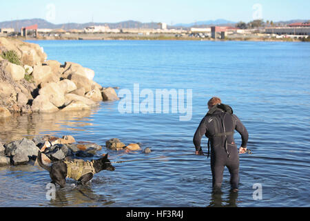 A Multi-Purpose Canine (MPC) handler with U.S. Marine Corps Forces ...