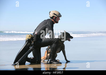 A Multi-Purpose Canine (MPC) handler with U.S. Marine Corps Forces ...