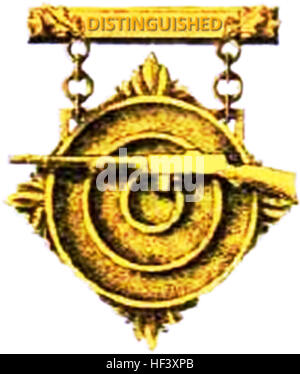 Former US Army Distinguished Automatic Rifleman Badge Stock Photo - Alamy
