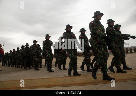members of Indonesian military armed forces (army) stand in ranks Stock ...