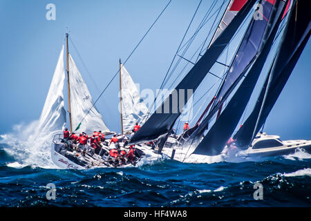 Line honours winner of the Sydney Hobart Yacht Race Comanche, close to ...