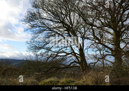 Farncombe Estate, Broadway, Cotswolds Stock Photo - Alamy