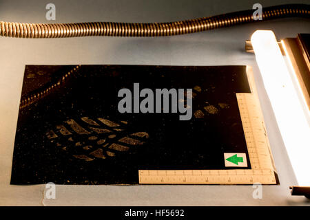 ESLA or Electric Static Lifting Apparatus for the recovery of shoe ...