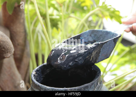 Planting Workshop Chen Lizi Stock Photo - Alamy