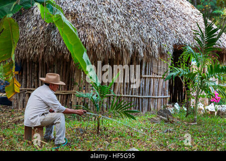 Mayan farmer watering the garden at the side of his traditional Mayan ...