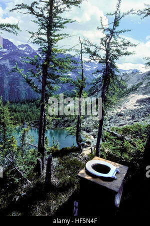 Rustic Outdoor Toilet in the Canadian Woods During Fall Season Stock ...