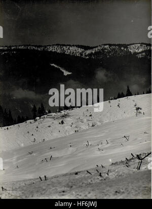 A panoramic photograph from World War I, depicting the battlefield from ...