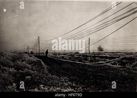 Frost on the telegraph wires of the railway line, First World War ...