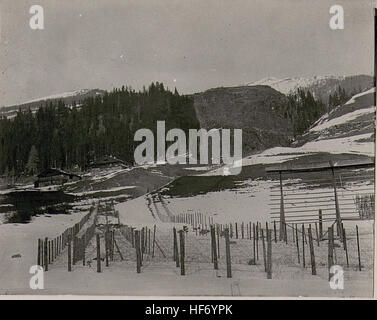 A historical image showing a military roadblock at the junction of the ...