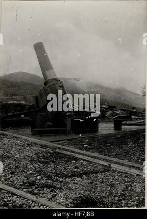 A photograph shows a large-scale deployment of German forces on the ...