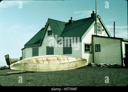 This image shows an Eskimo umiak, a traditional boat made from skins ...