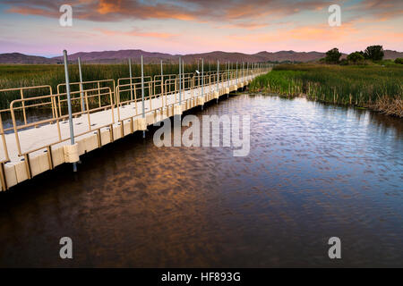Swan Lake Nature Study Area in Reno, Nevada at Sunset. Pond and ...