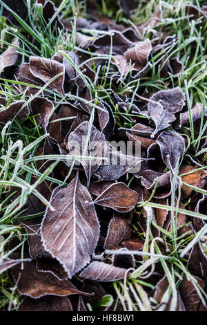 East Harptree a village in Somerset England UK Waldegrave Arms Pub ...