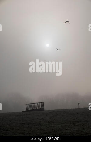 East Harptree a village in Somerset England UK Waldegrave Arms Pub ...
