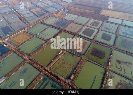 Suqian, Suqian, China. 10th Dec, 2016. Suqian, CHINA-December 10 Stock ...