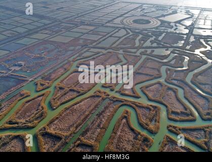 Suqian, Suqian, China. 10th Dec, 2016. Suqian, CHINA-December 10 Stock ...