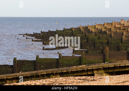 Costal defence groynes in Whitstable to prevent Longshore drift Stock ...