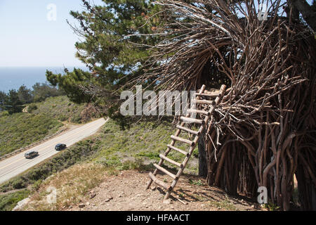 Tree house,treehouse, at Treebones Resort with views above National ...