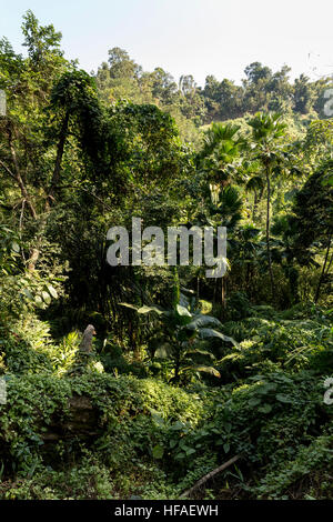 India, Arunachal Pradesh, Tirap district, Khonsa, Chalo Loku festival ...