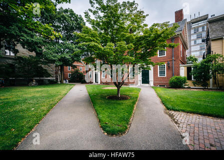 Buildings and walkways at the Harvard Yard, at Harvard University, in ...