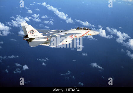 An air-to-air right view of an F-14 Tomcat aircraft from Fighter ...