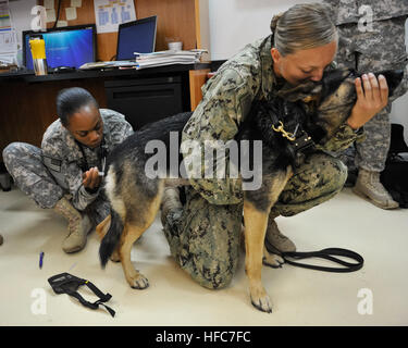An Army veterinary technician assigned to the Veterinary Treatment ...