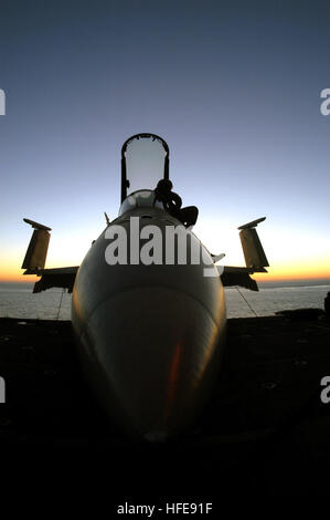 US Navy A plane captain finishes his pre-flight inspection of an F-A ...