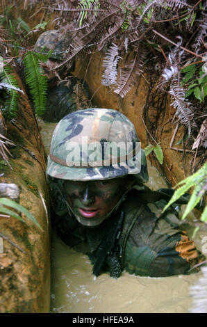 US Navy A U.S. Navy Seabee, Builder 3rd Class assigned to Naval Mobile ...