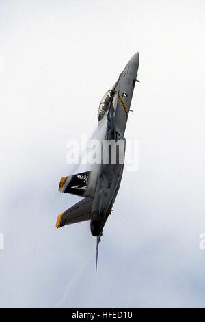 May 14, 2005; Langley AFB, VA, USA; A member of the U.S. Army Parachute ...