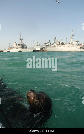 Zak is a 375-pound California sea lion known for his role in marine ...