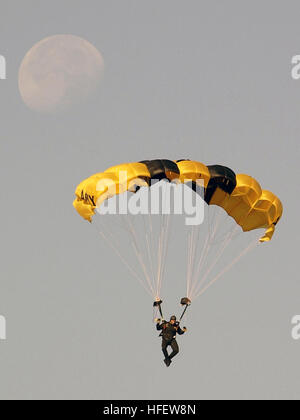 A member of the Golden Knights, the US Army's parachute demonstration ...