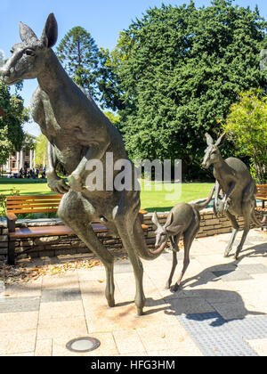 Perth Western Australia - A bronze sculpture of a kangaroo drinking ...