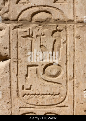 Cartouche of the pharaoh Seti I Egypt North Africa Africa Stock Photo ...