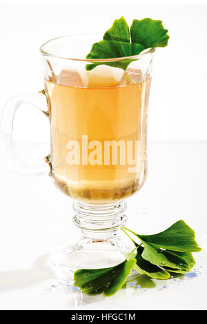 Ginkgo infusion Ginkgo biloba Stock Photo - Alamy
