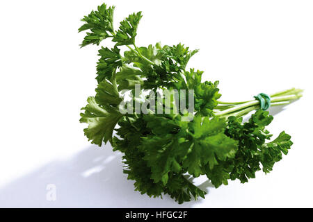 Levisticum officinale, bunch of leaves Stock Photo - Alamy