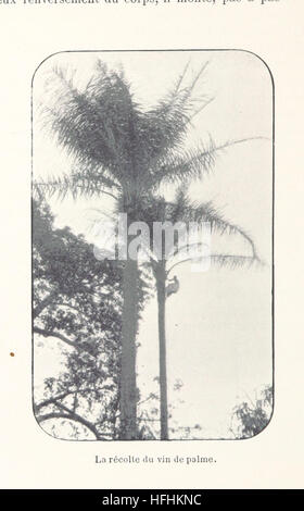 A photographic collection of Africa, focusing on the Atlantic and Congo ...