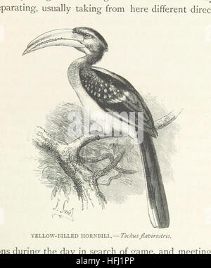 This image is from 'Matabele Land and the Victoria Falls,' a work ...